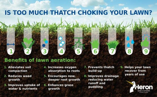 Lawn & Grass Aeration Services | Heron Home & Outdoor