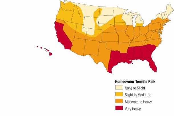 Termite Guarantee | Heron Home & Outdoor | Termite Exterminators in FL